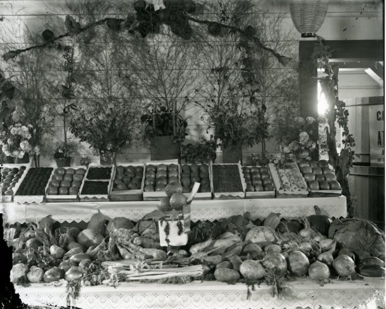 Kelley House Museum Mendocino History Blog: The “Biggest of Everything ...